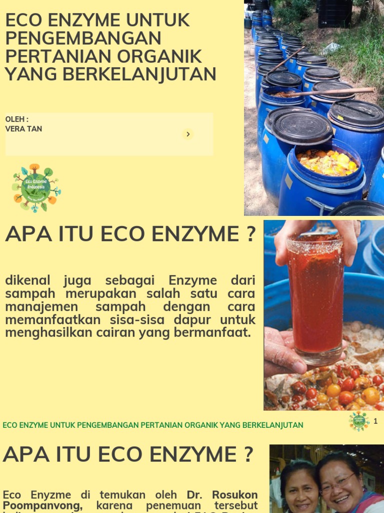 Eco Enzyme | PDF