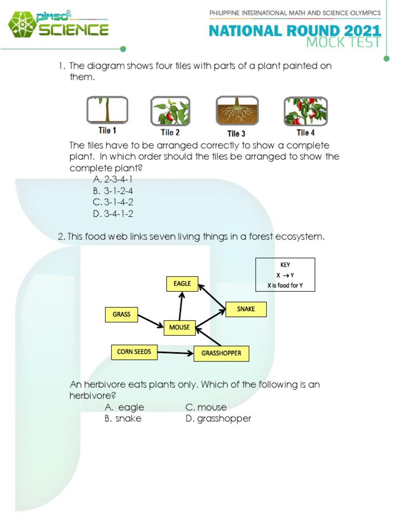 Grade 2 Pimso Science Mock Test | PDF | Sun | Sodium Carbonate