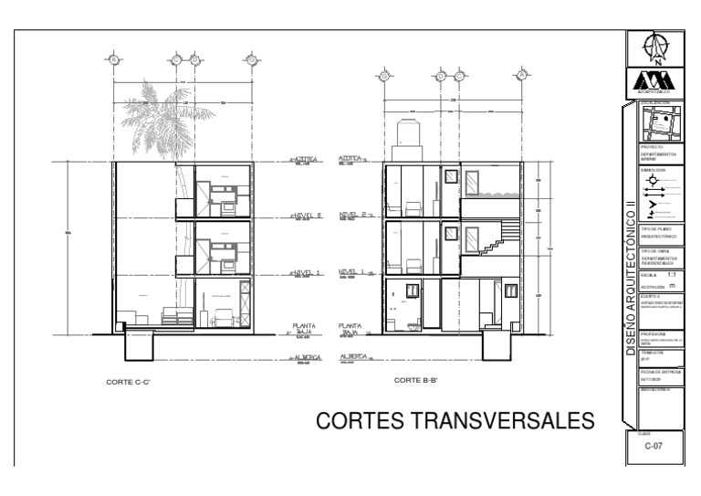 Cortes Transversales | PDF