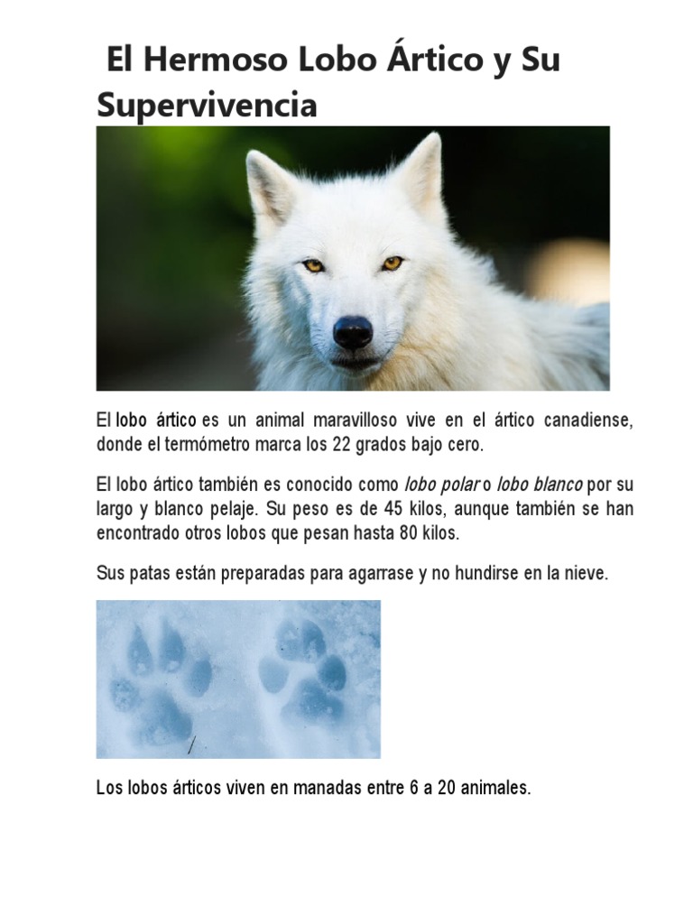 Adolfo Tapia El Lobo Artico | PDF