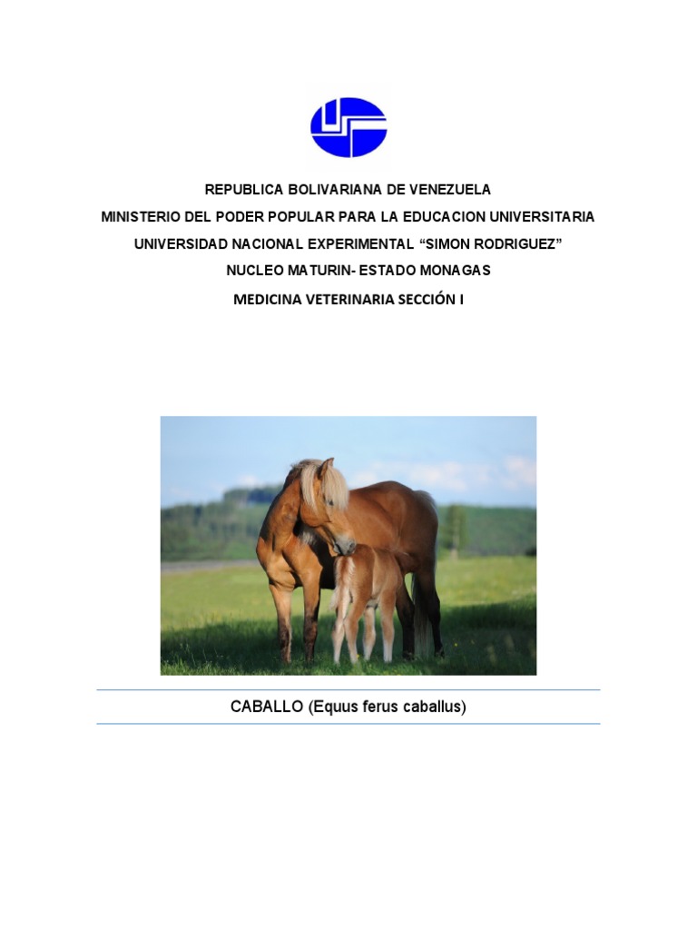Caballos | PDF | Caballos | El embarazo