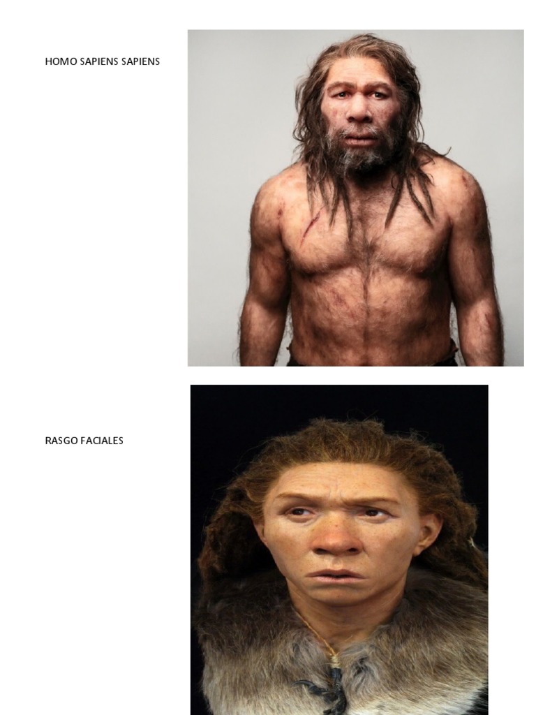 Homo Sapiens Sapiens | PDF