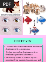 Incomplete & Codominance Practice Problems (2025) | PDF | Dominance ...
