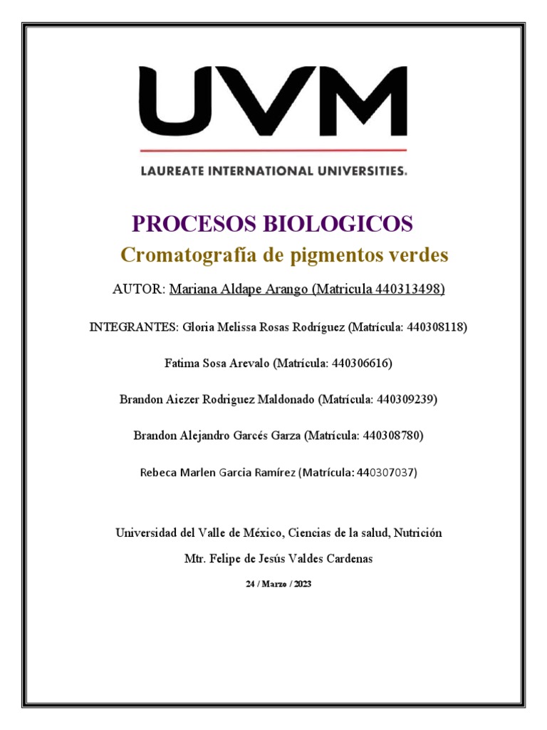 Practica 5 Procesos Biologicos | PDF | Plantas | Clorofila
