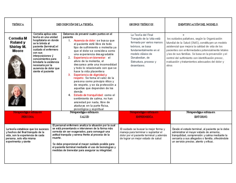 Teórica Cornelia M Ruland | PDF | Enfermería | Paciente