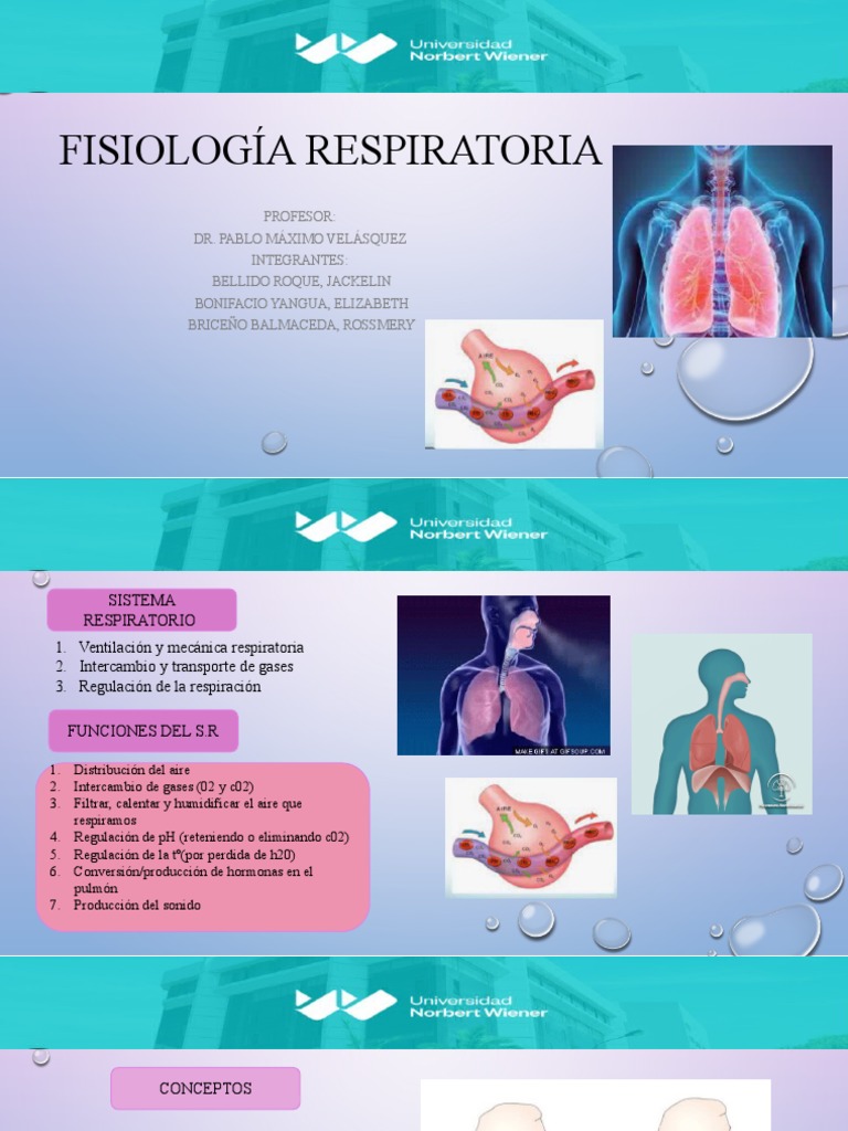 Fisiología Respiratoria Exposicion | PDF