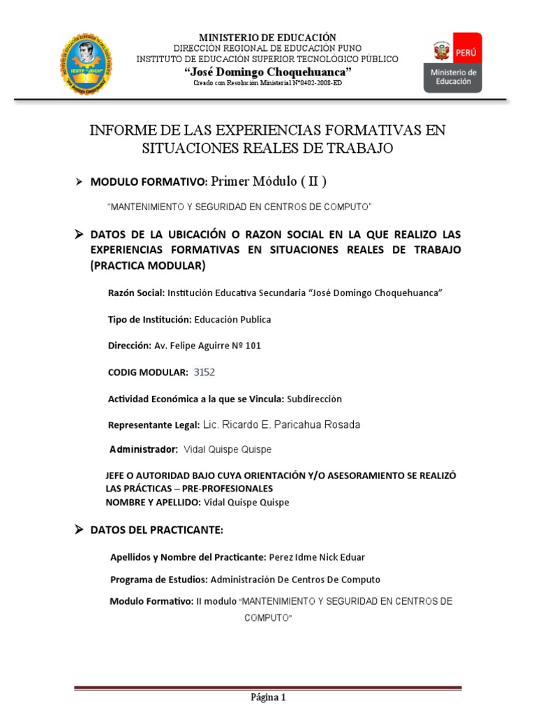 Modulo Formativo-1 David Ramos V | PDF | Archivo de computadora | Hardware de la computadora