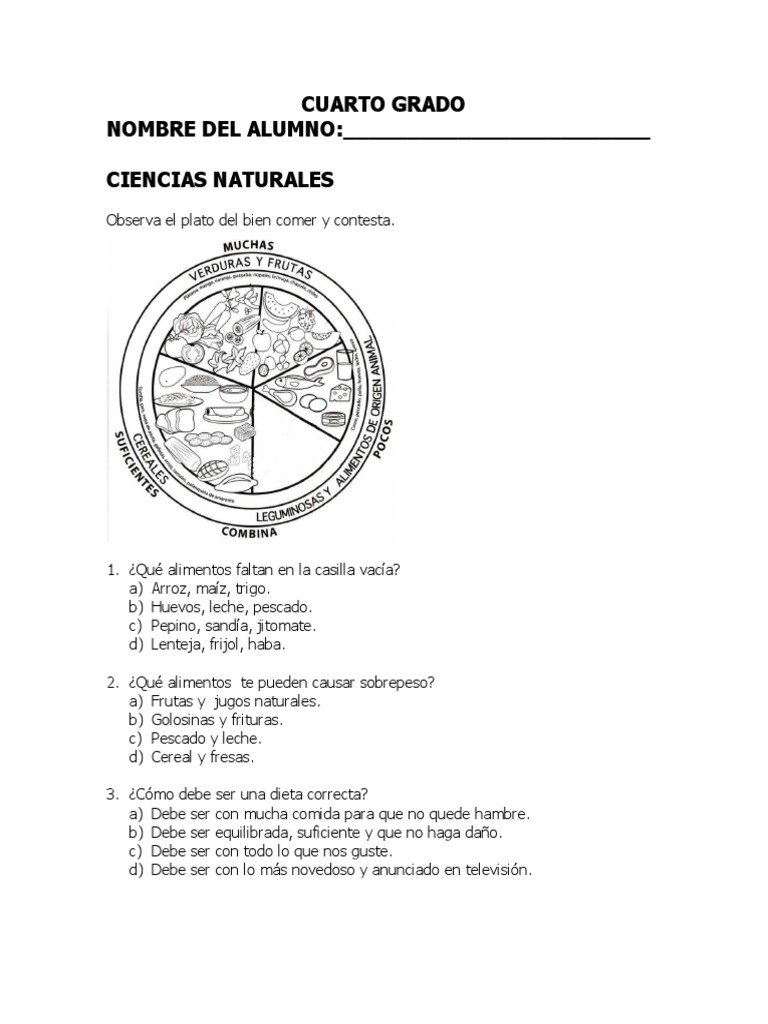 Cuarto Grado | PDF