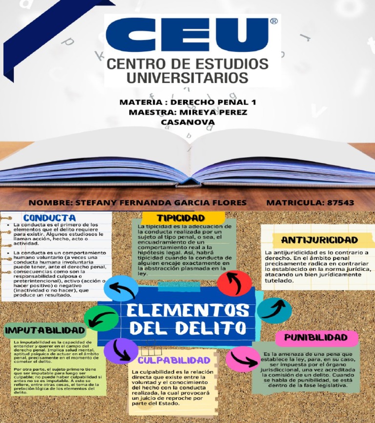 Elementos Del Delito | PDF
