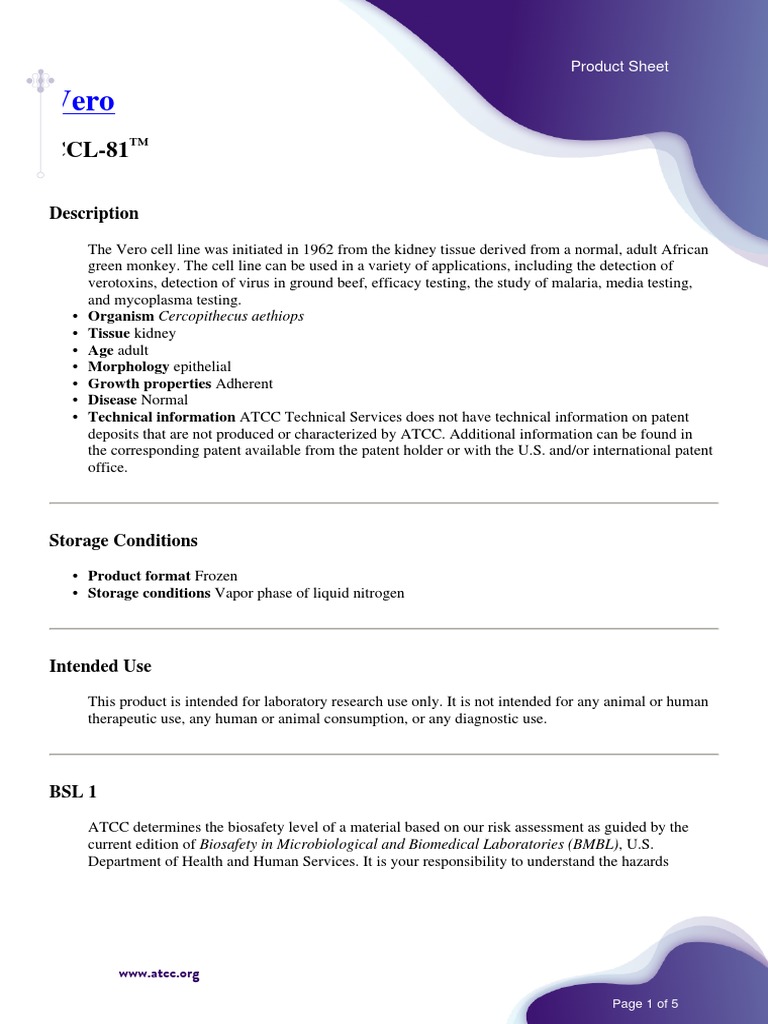 CCL-81 Product Sheet - Vero | PDF | Atcc (Company) | Cell Culture