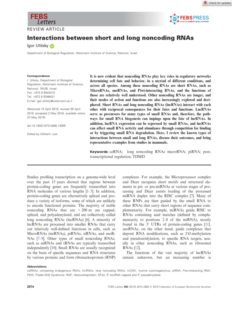 Interactions Between Short and Long Noncoding Rnas | PDF | Micro Rna | Rna
