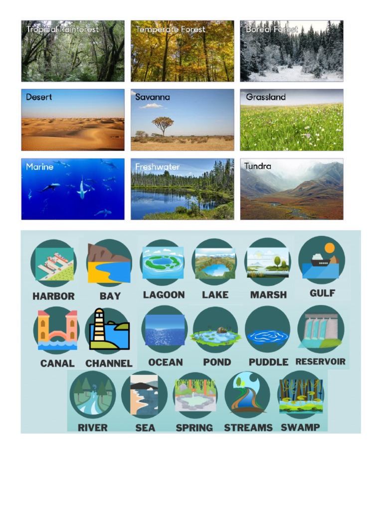 Landforms and Bodies of Water SD | PDF