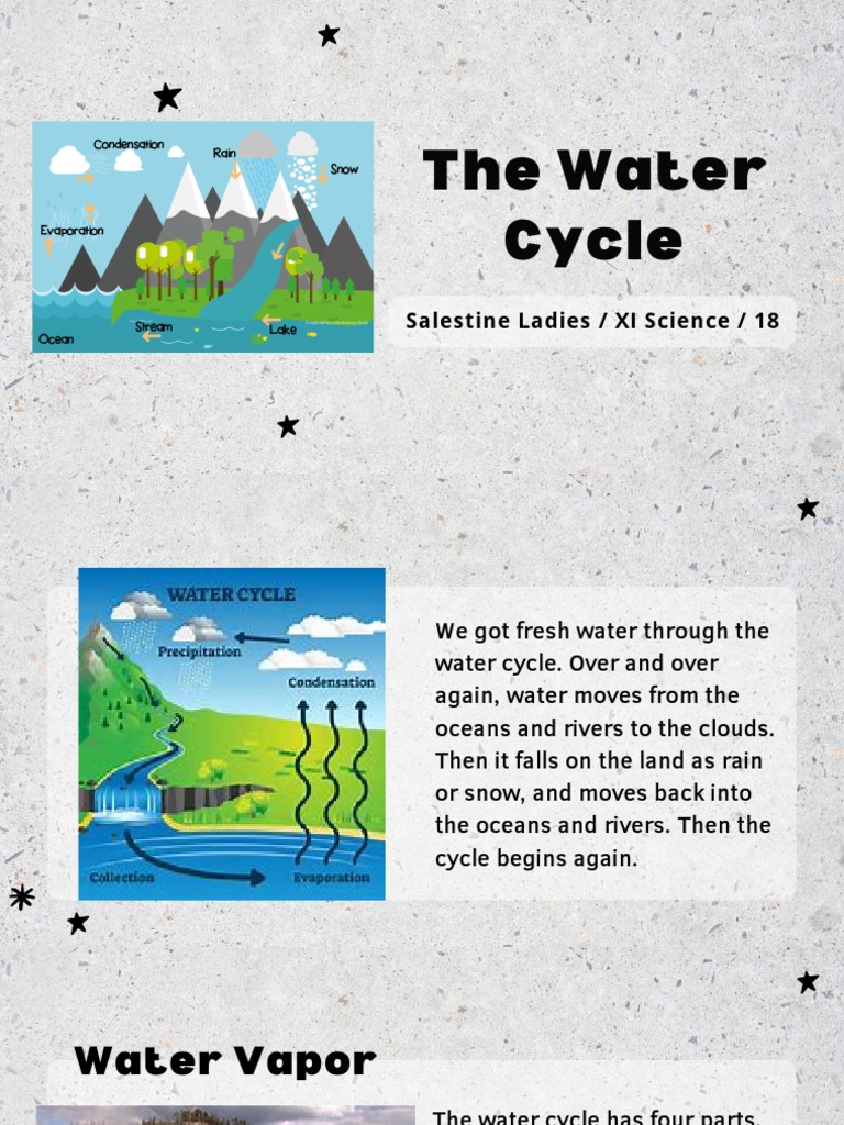 Understanding the Water Cycle | PDF | Science & Mathematics