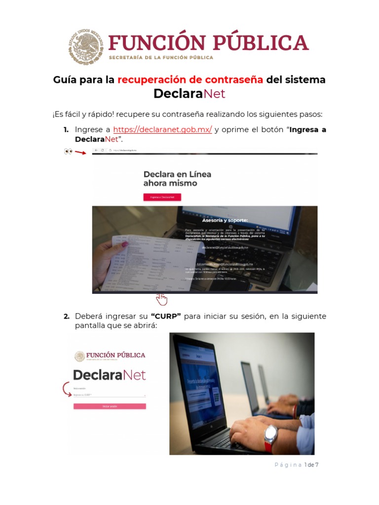 Guia Recup Contrasena Declaranet | PDF | Contraseña | Informática