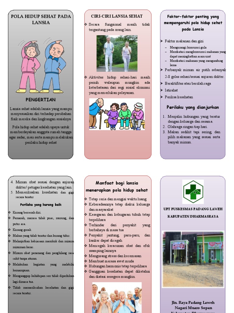 Leaflet Pola Hidup Sehat Pada Lansia | PDF | Gaya Hidup