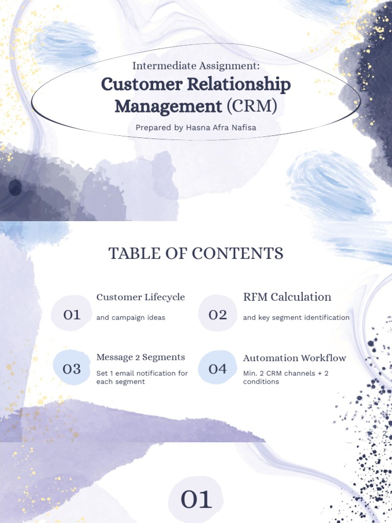 Customer Relationship Management (CRM) : Intermediate Assignment | PDF