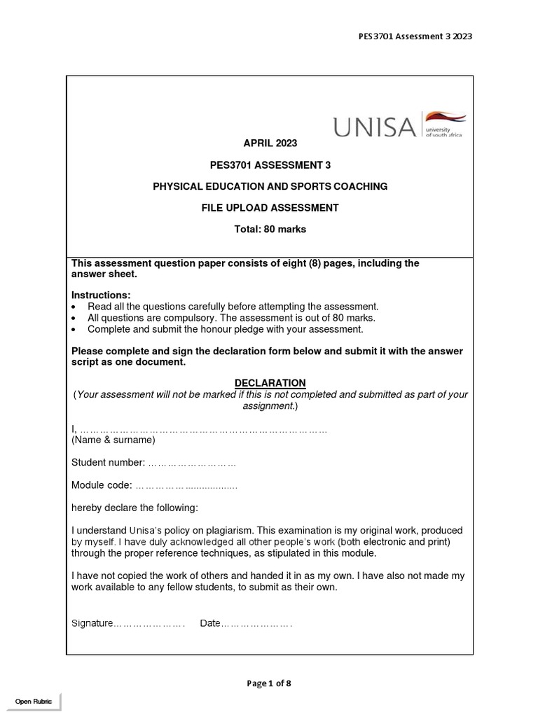 Final PES3701 Assessment 3 2023 | PDF