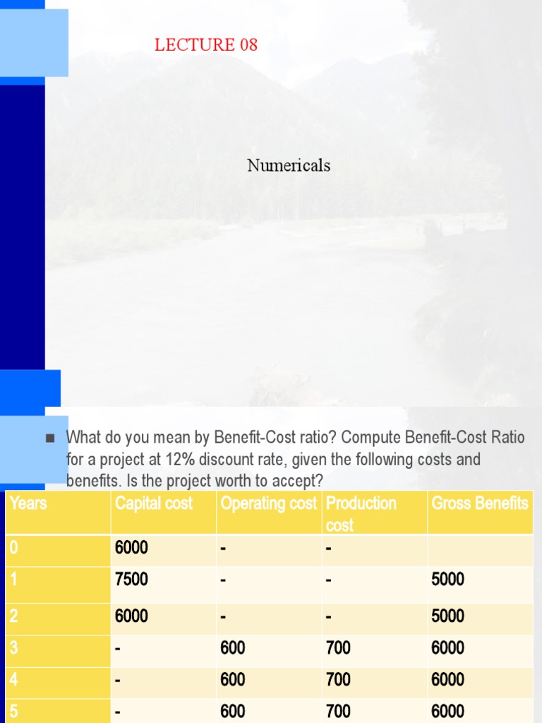 Lecture 08 EE | PDF | Net Present Value | Internal Rate Of Return