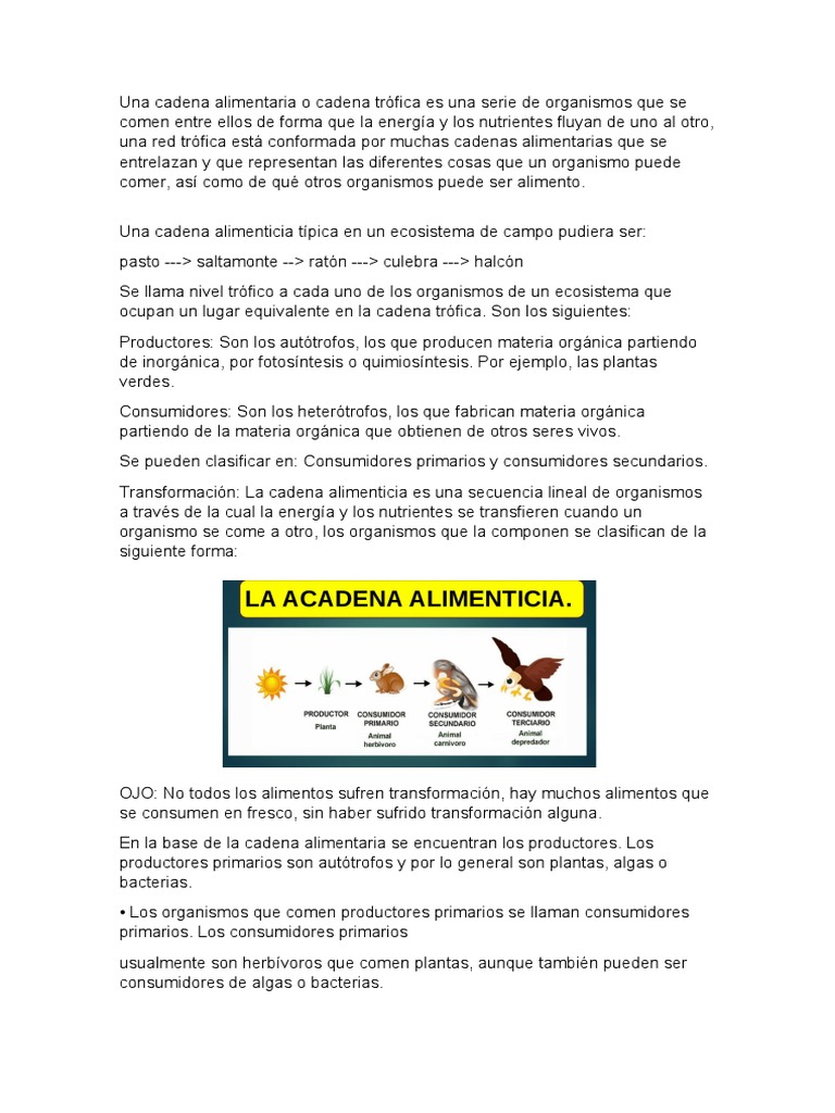 Cadena Alimenticia | PDF