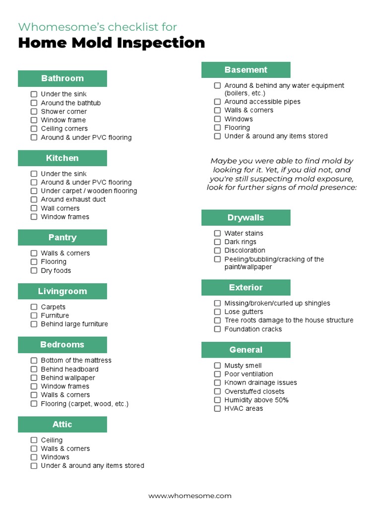 Whomesome's Mold Checklist | PDF | Basement | Home