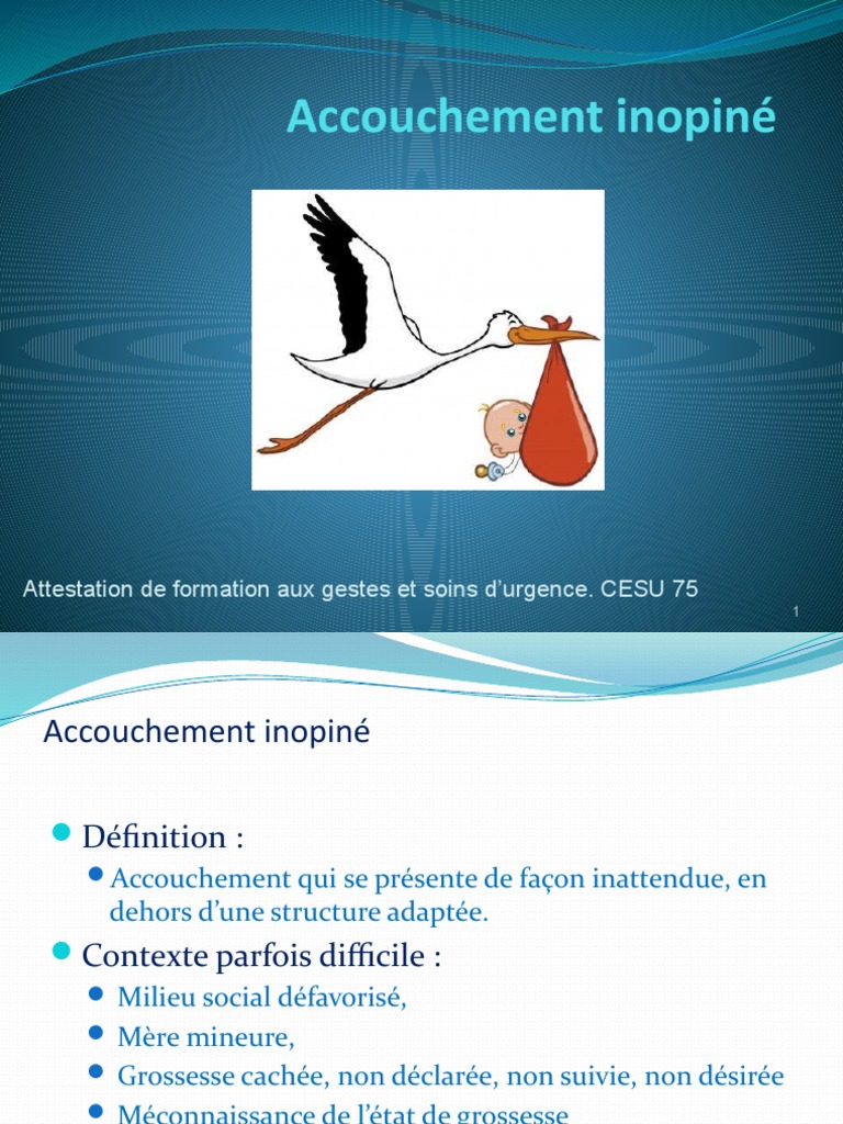 Accouchement Inopiné | PDF | Accouchement | Grossesse