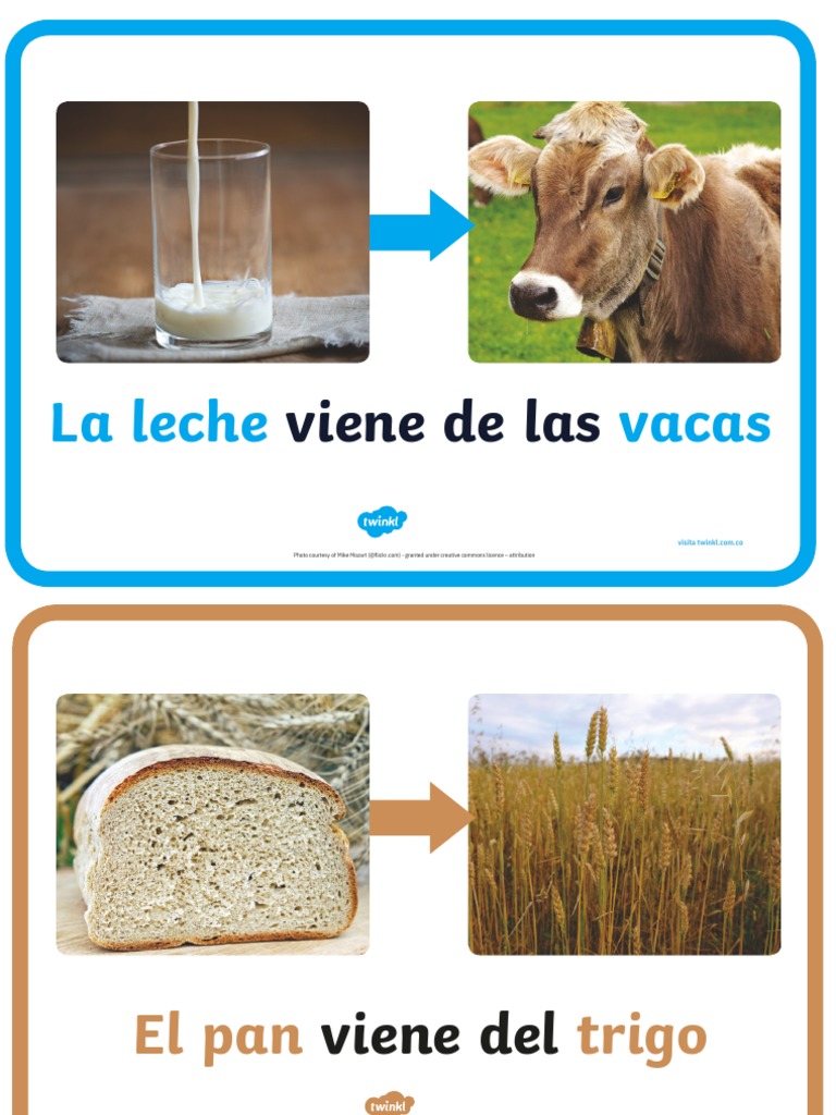 Origen de Alimentos Comunes | PDF