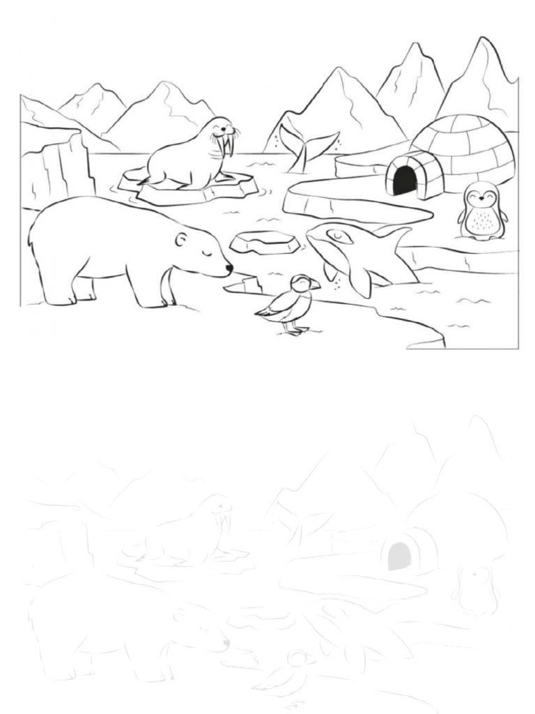 Morsa de Colorat | PDF