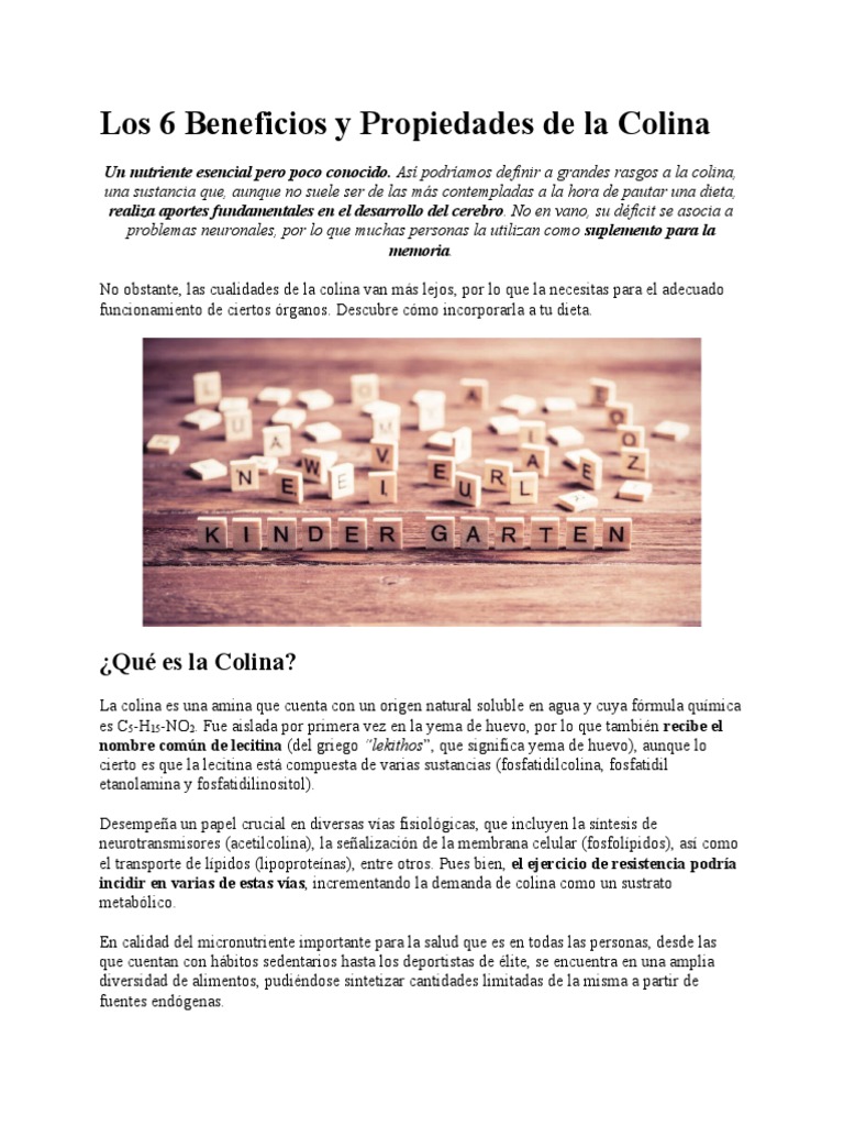 Los 6 Beneficios y Propiedades de La Colina | PDF | Metabolismo | Acetilcolina