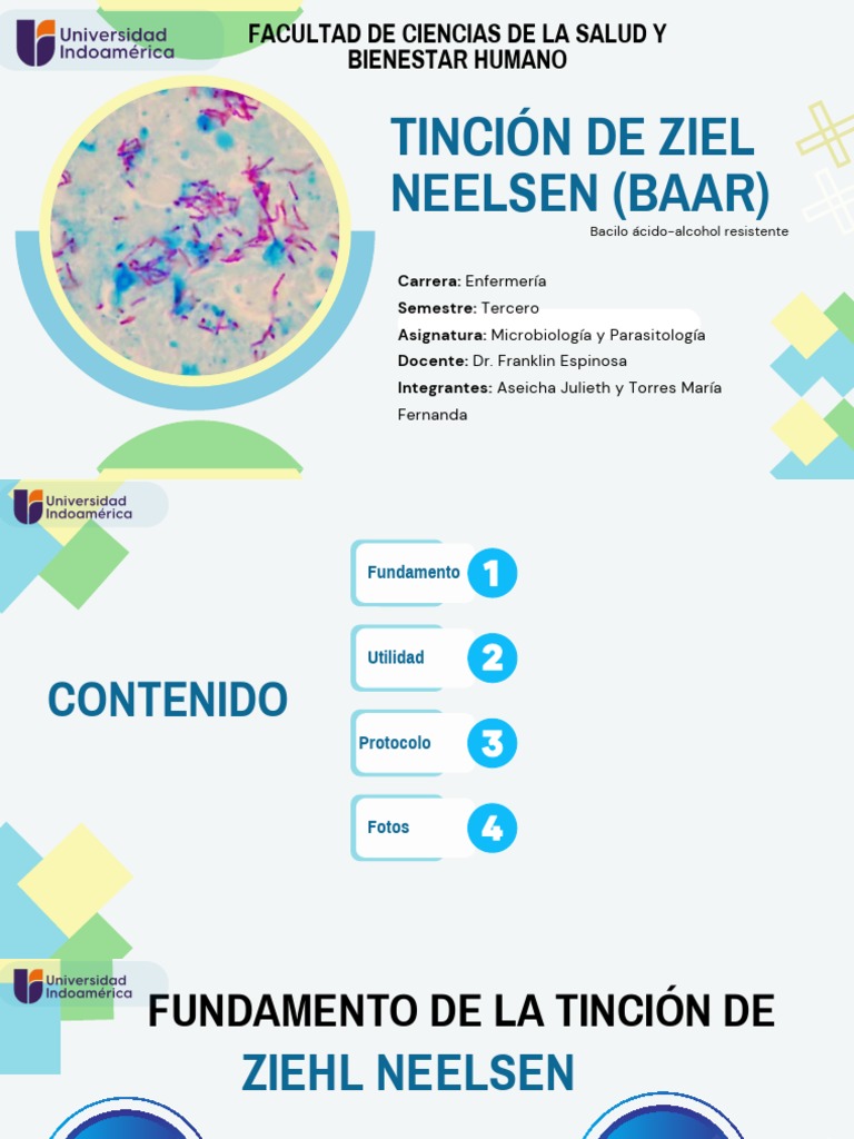 Tinción de Baar Microbiología y Parasitología | PDF