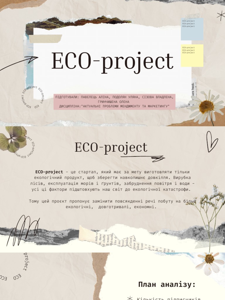 ECO Project | PDF