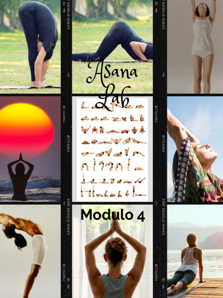 Asana Lab Mod 4 300 RYT | PDF