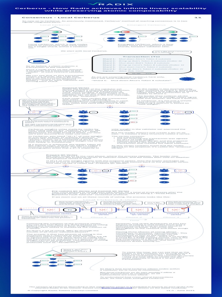 60d068822a861e19f4179ec9 - 11. Consensus - Local Cerberus - Compressed ...