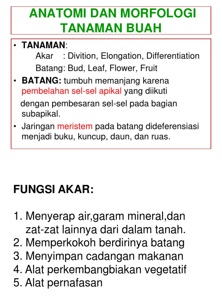 ANATOMI, MORF, DAN PENGGOL BUAH (1) | PDF