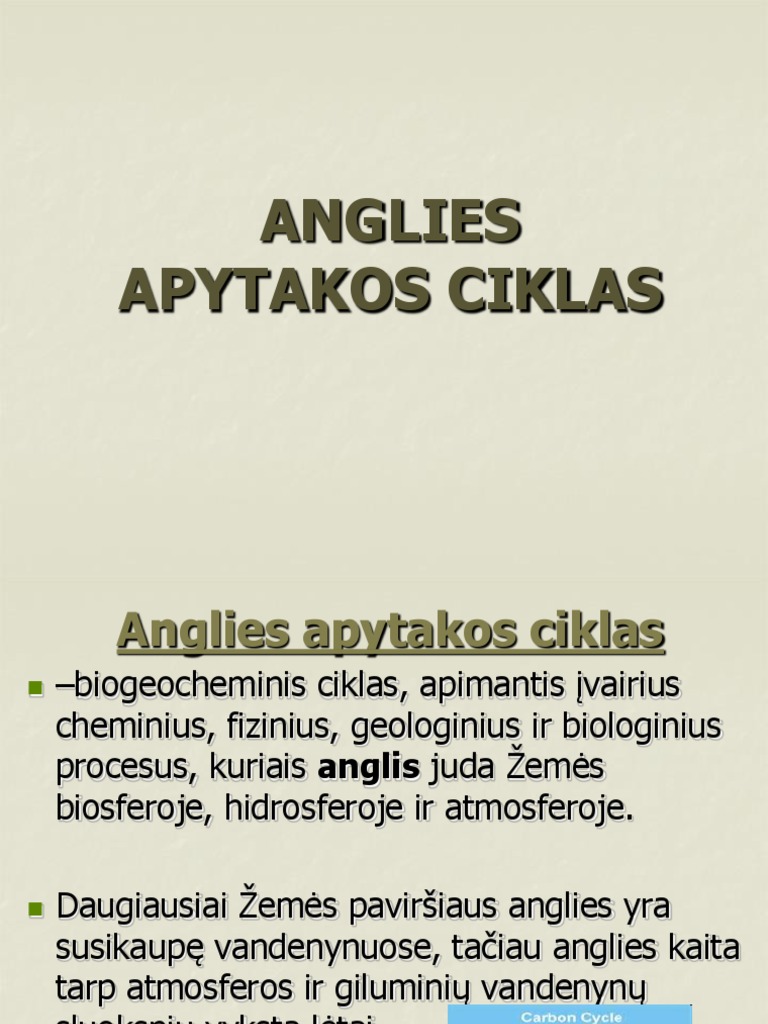 12 - Anglies Ciklas | PDF