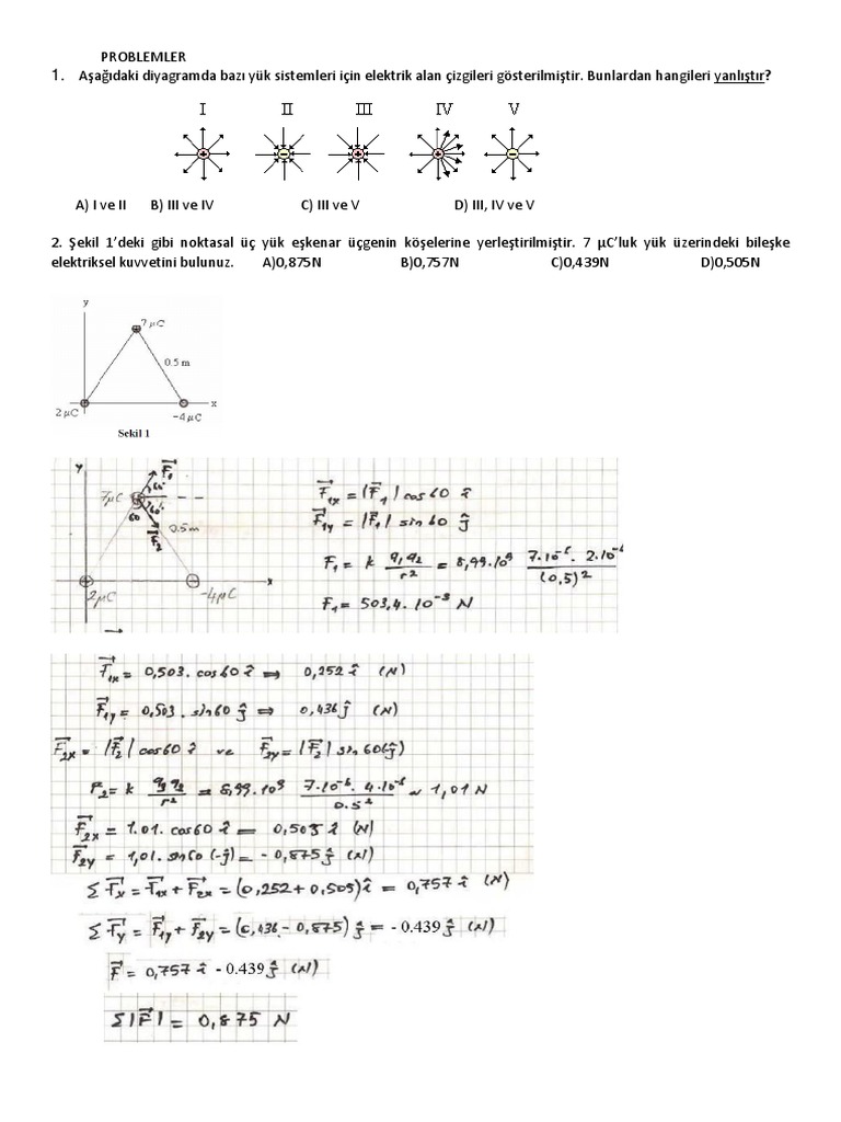 Ornek Sorular b1-b2 | PDF