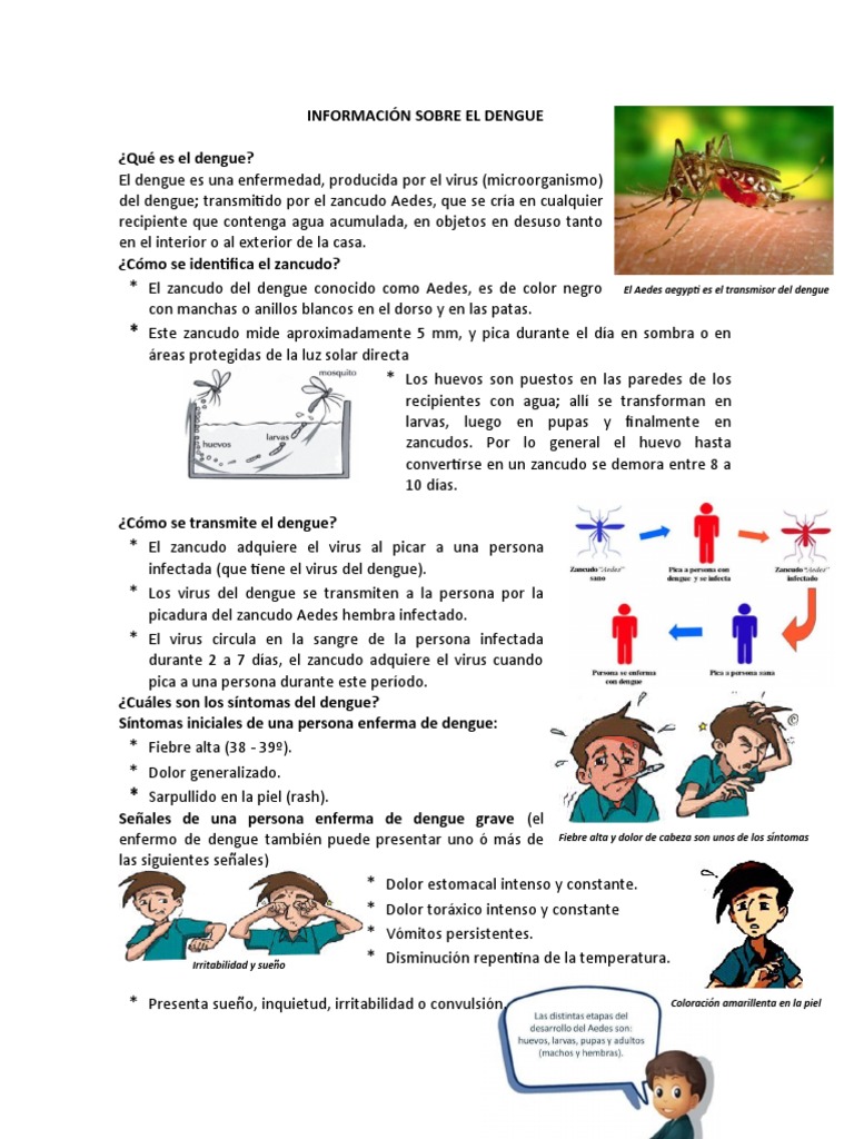DENGUE-FICHA INFORMATIVA | PDF | Mosquito | Agua
