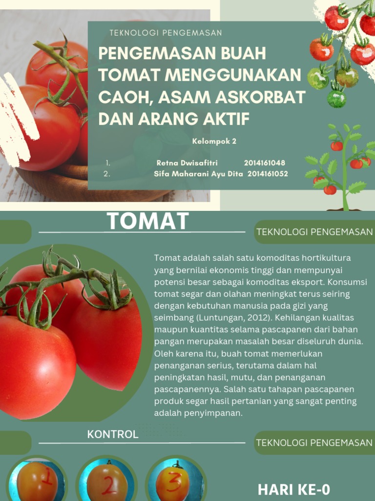 Pengemasan Tomat | PDF