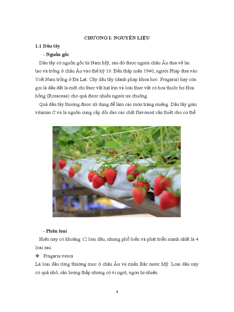 M T Đông Jam Dâu, Jelly Táo (Tham KH O) | PDF