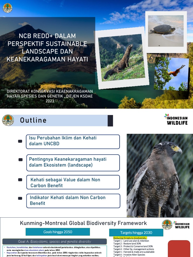 Landscape Dan Kehati Dalam Non Carbon Benefits - Fin | PDF
