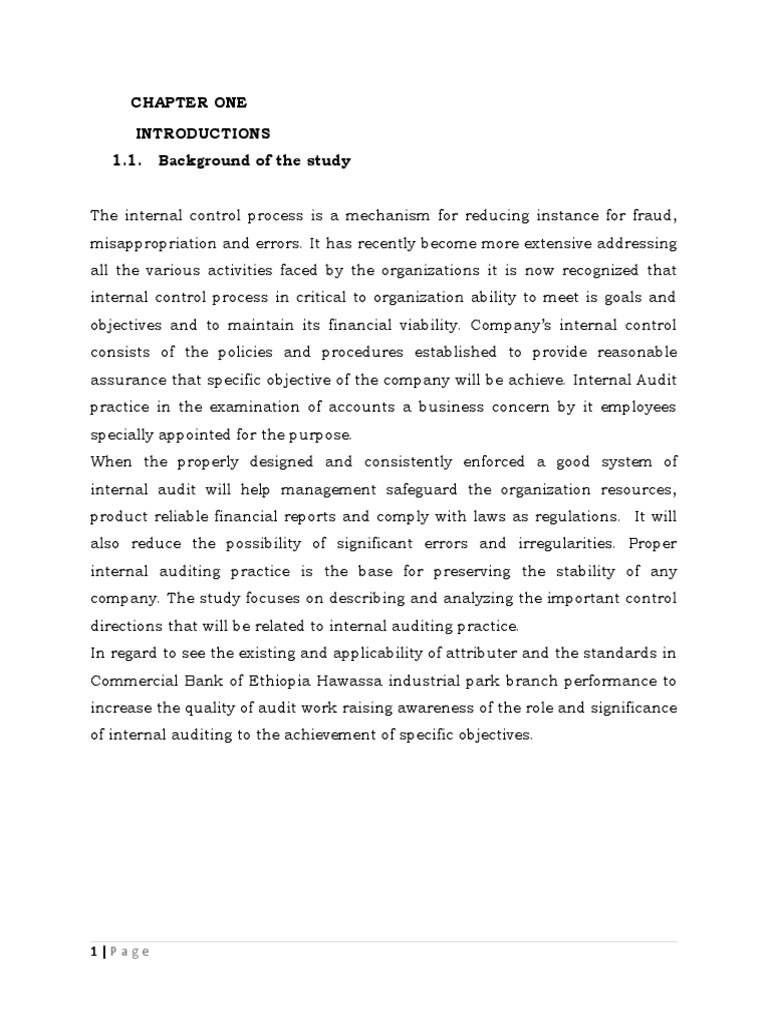 CH ONE Ela Proposal | PDF | Internal Control | Audit