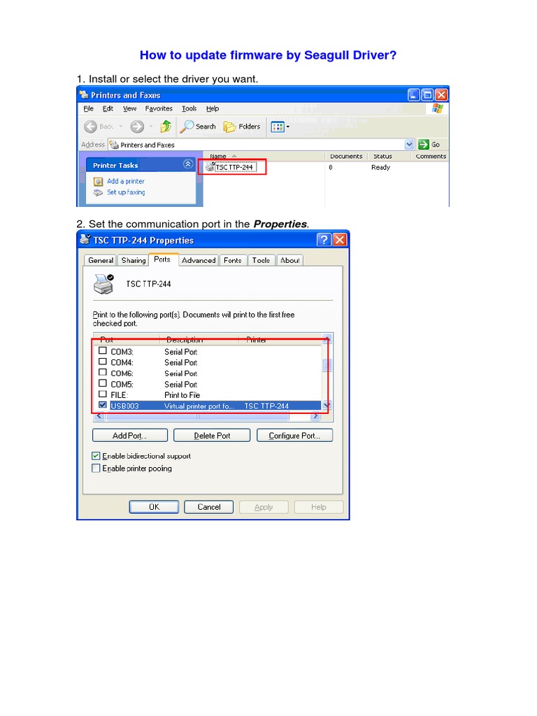 How to Update Firmware by Seagull Driver | PDF