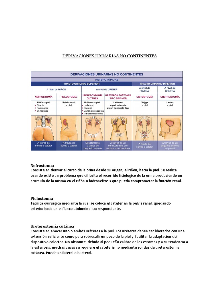 Derivaciones Urinarias No Continentes | PDF | Vejiga urinaria | Sistema ...