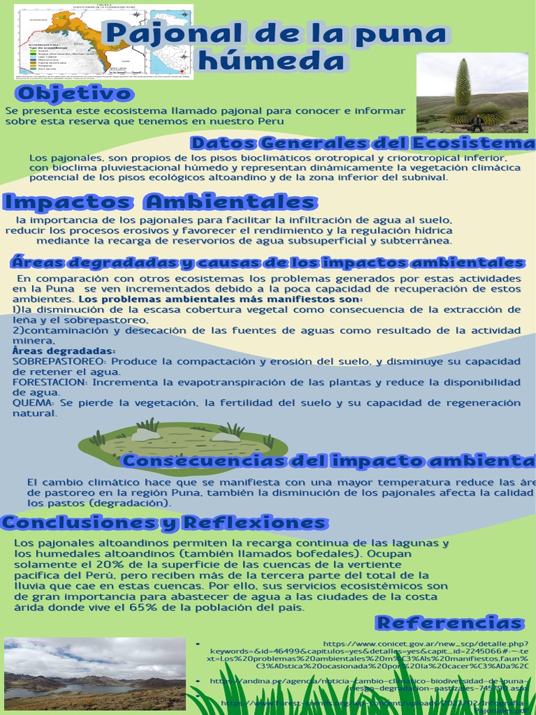 Pajonal de La Puna Humeda Individuo | PDF | Agua | Entorno natural