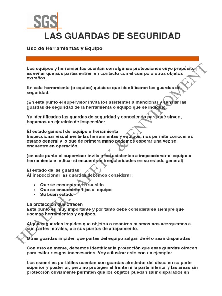 Las Guardas de Seguridad | PDF