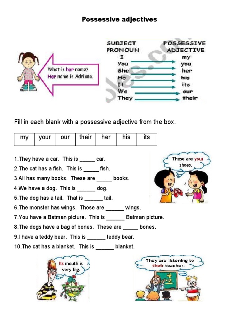 Possessive Adjectives | PDF