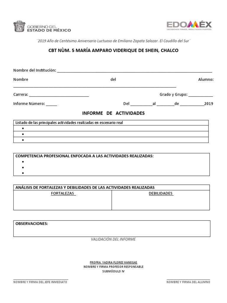 Formato Informe de Act. | PDF