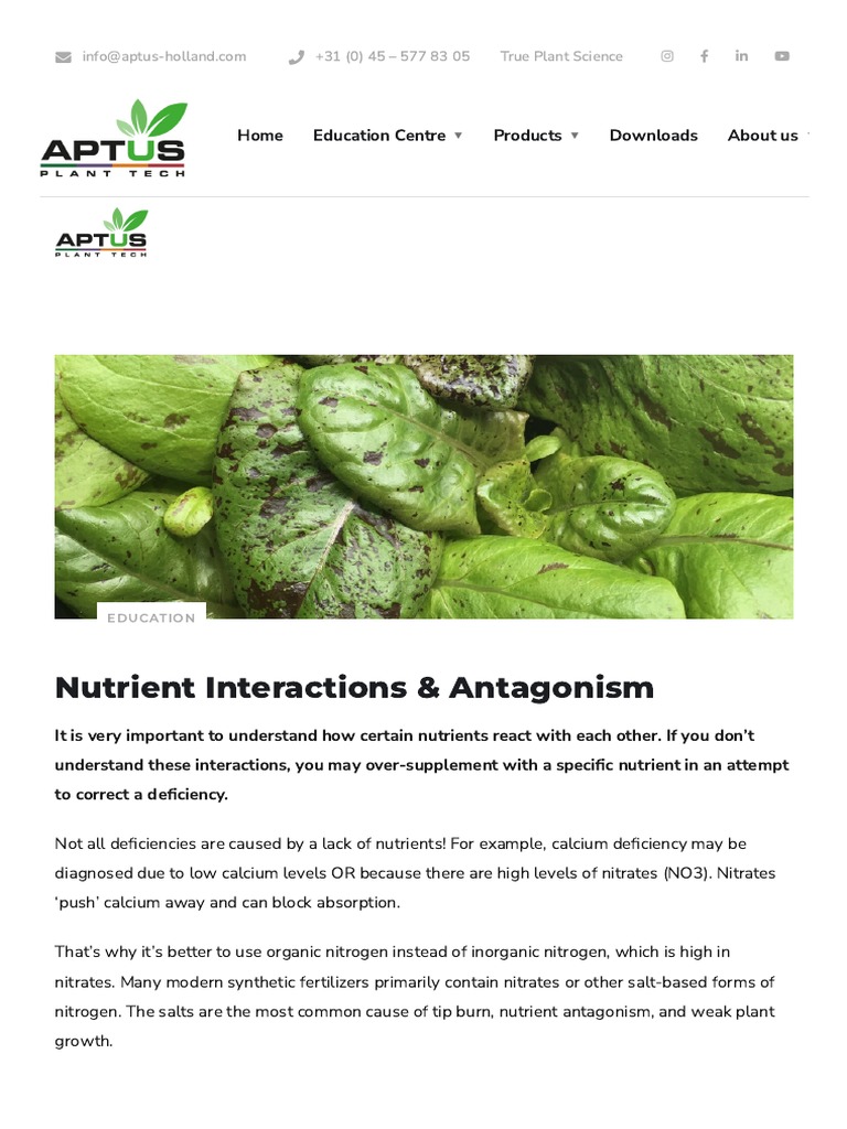 Nutrient Antagonism in Plant Growth | PDF | Plant Nutrition | Soil