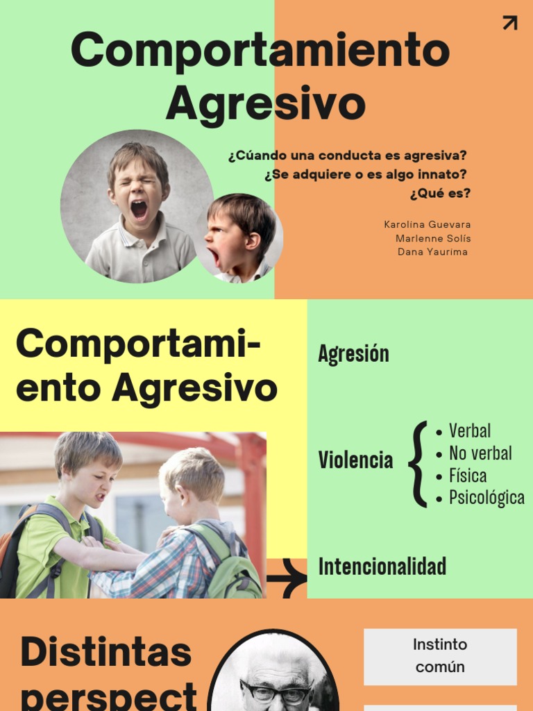 Comportamiento agresivo | PDF | Sicología | Comportamiento