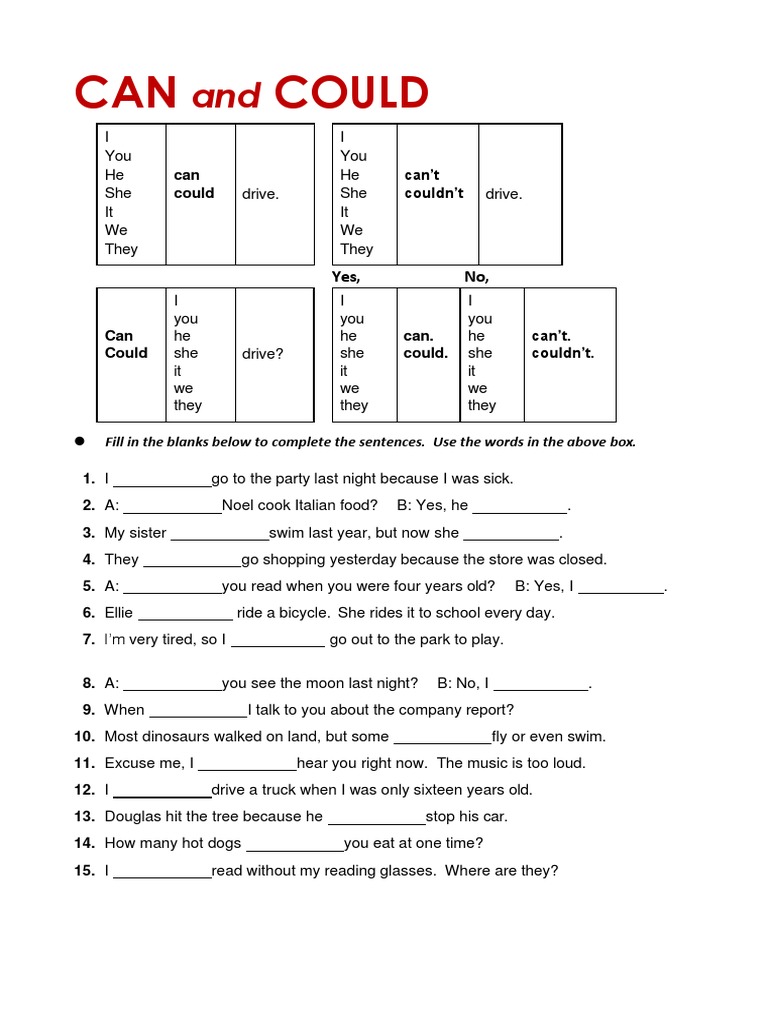 Can Could Pdf