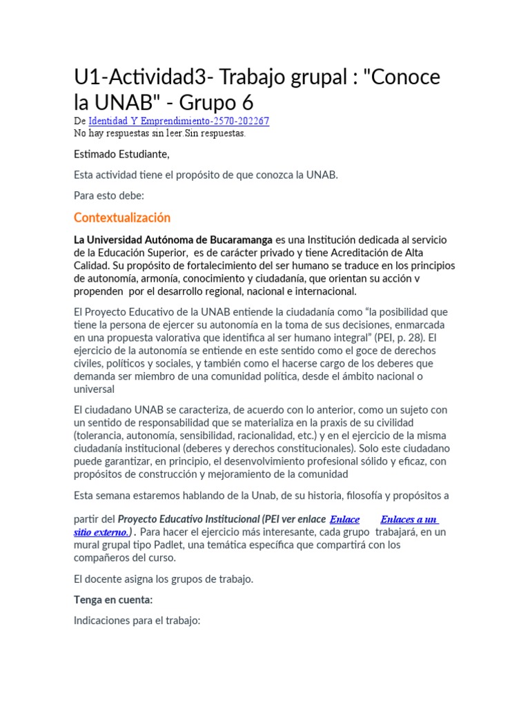 U1-Actividad3-Trabajo Grupal: "Conoce La UNAB" - Grupo 6: Contextualización | PDF